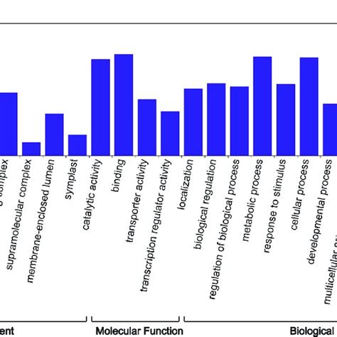 Histogram Of Gene Ontology Go Classification Of Transcripts Into Download Scientific Diagram