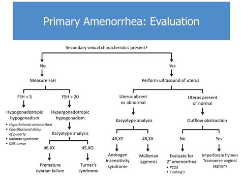 Ppt Amenorrhea Powerpoint Presentation Free Download Id6190591
