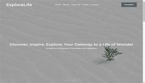 تصميم او برمجة موقع css3 sass tailwindcss reactjs خمسات