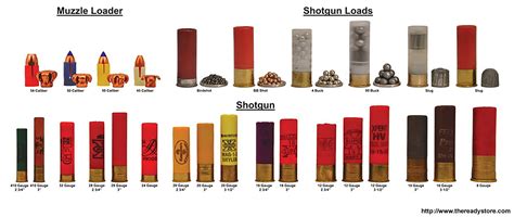 Different Types Of Gauge Shotgun Shells At Joel Stanbury Blog