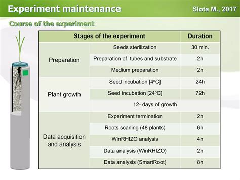 Root Phenotyping System Ppt