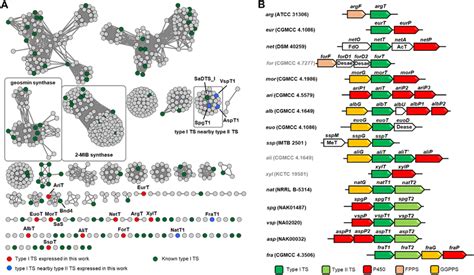 Genome Mining Of Terpenoid Bgcs A Ssn Analysis Of Recognized And Download Scientific Diagram