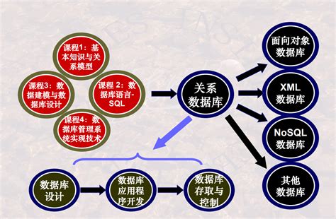 （一）初步认识数据库系统 Csdn博客