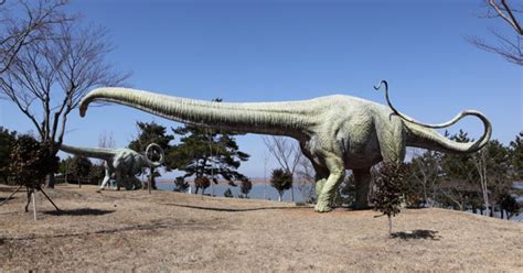 타임머신 타고 중생대로 해남 우항리 공룡 화석지