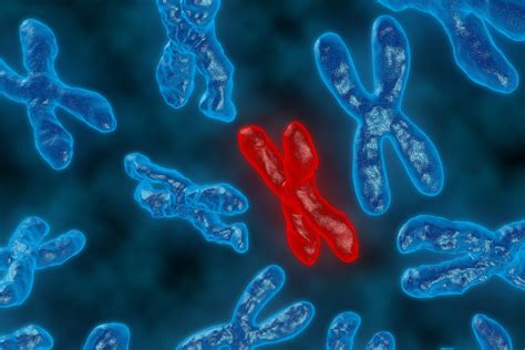 One In 500 Men Carry Extra Sex Chromosome Putting Them At Higher Risk Of Several Common