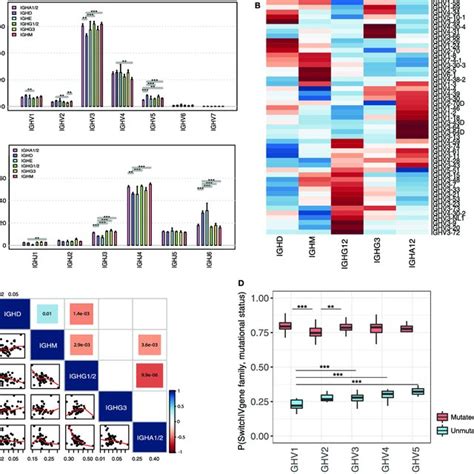 Relationship Between Somatic Hypermutation And Class Switching In The Download Scientific