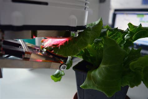 High Throughput Phenotyping Platform Advanced Plant Growth Centre