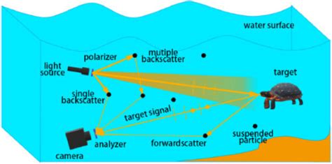Underwater Polarization Imaging Diagram Download Scientific Diagram