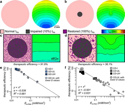 Validation Of The Proposed Optogenetics Based Strategy To Quantify The Download Scientific