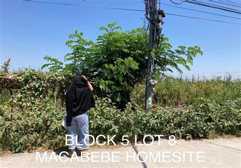 Lot 8 Blk 5 Macabebe Homesite Subdivision Caduang Tete Macabebe