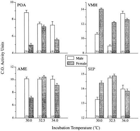 Sex Differences In Cytochrome Oxidase CO Activity Umol Min G Tissue Download Scientific
