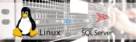 How To Install Microsoft SQL Server On Linux Marksei