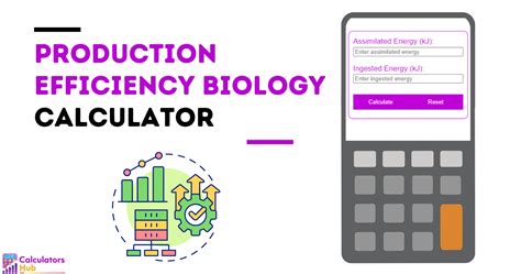 Production Efficiency Biology Calculator Online