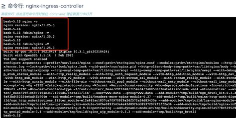 Nginx Ingress Controller升级nginx版本 Eqiu 的博客