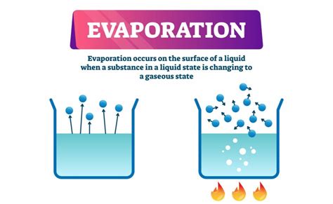 Boiling Vs Evaporation Understanding The Simmering Science