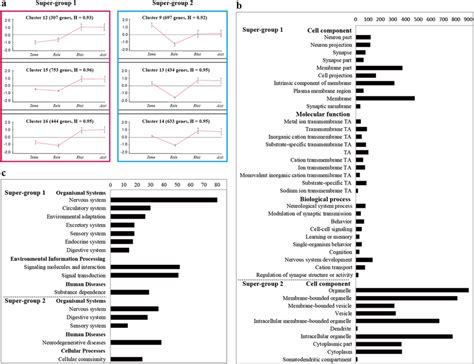 Clustering Plots Of Degs And The Associated Enrichment Results A Two