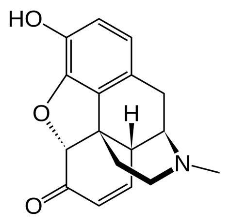 Morphinone Wikiwand