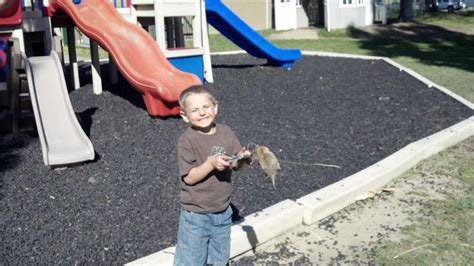 Future Gopher Trapper Gopher Control