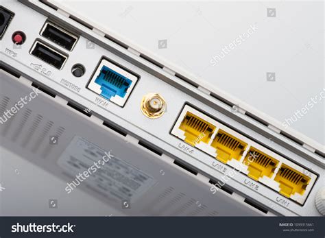 Connecting Network Cables Switch Routers Using Stock Photo Shutterstock