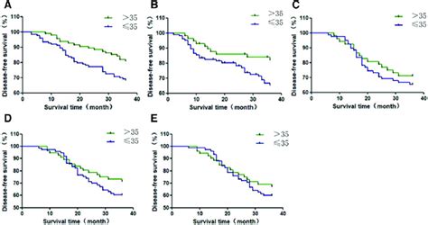 Three Year Cumulative Dfs Rates Of 2 Groups With Different Pathological Download Scientific