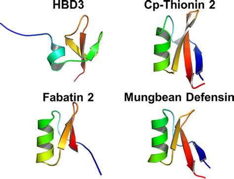 Structures Of Defensin Peptides Defensin Like Peptides Were Modeled Download Scientific Diagram