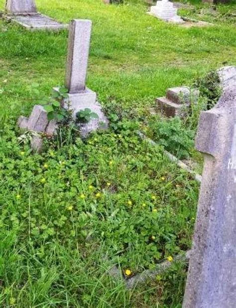 Chalk Plot Rectory Lane Cemetery Berkhamsted