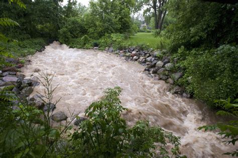 Municipal Separate Storm System Ms4 Permit