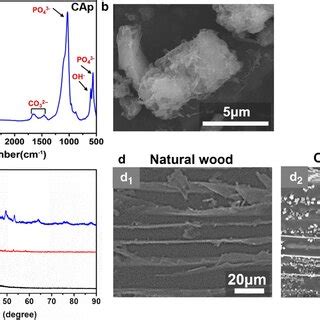 FTIR Spectra A And SEM Image B Of CAp XRD Patterns C And SEM Download Scientific Diagram