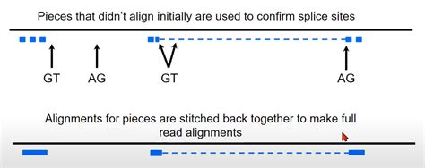 【rna Structures】rna Seq 分析 Rna转录的重构和前沿测序技术 转录组测序和分析原理 Csdn博客