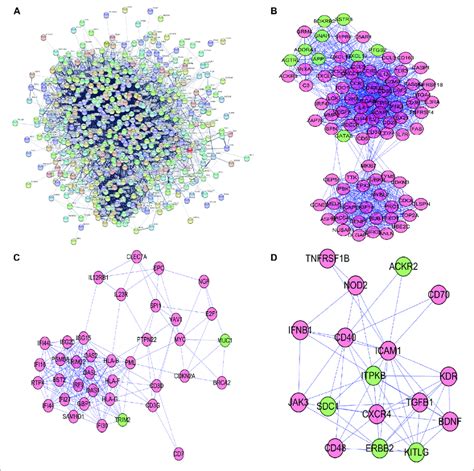 protein protein interaction network and its top 3 key modules download scientific diagram