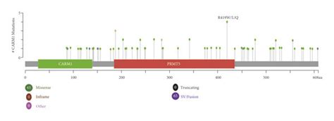 Carm1 Mutation Features In Various Tcga Tumors Cbioportal Tool Was Download Scientific Diagram