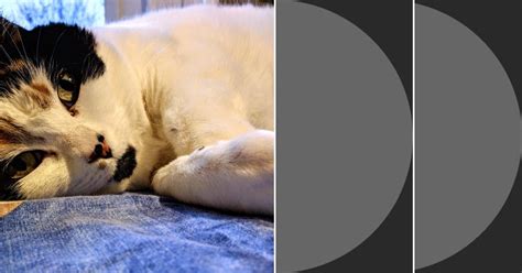 List Random Forest Causal Curated By Hugo E Roche Medium