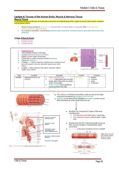 Biosci 107 Module 1 Biosci 107 Biology For Biomedical Science Cellular Processes Auckland