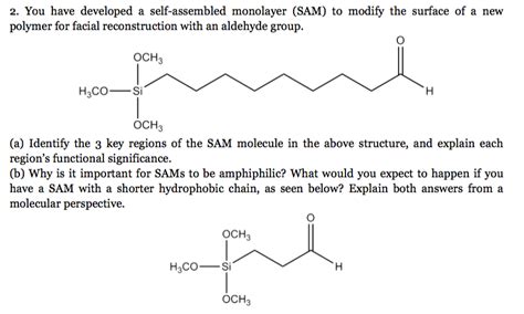 Solved You Have Developed A Self Assembled Monolayer Sam