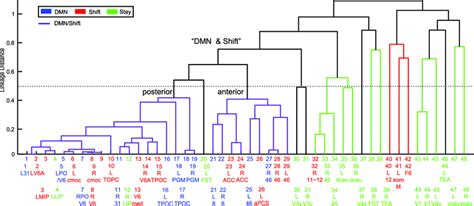 Clustering Across Stay Shift And Dmn Rois Dendrogram Represents The Download Scientific