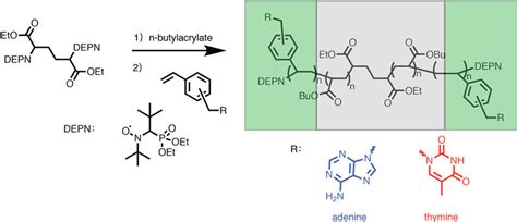 Synthesis Of Adenine And Thymine Nucleobase Functionalized Triblock