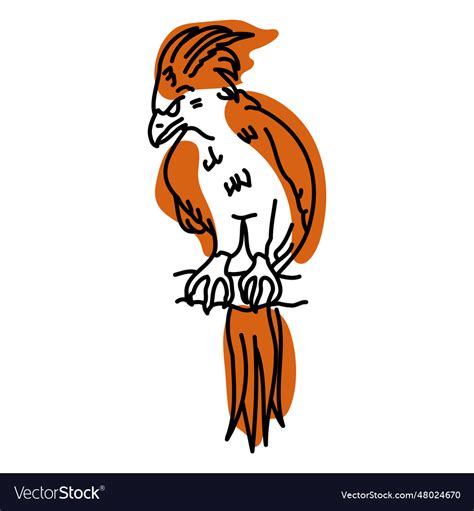 Cockatoo Bird Color Stroke Royalty Free Vector Image