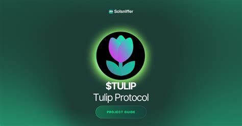 What Is Tulip Protocol Tulip Project And Token Analysis Solsniffer Blog