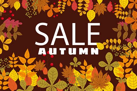 가 판매 떨어지는 단풍 노랑 오렌지 브라운 배경 배너가을 레터링 포스터 배너 벡터 격리에 대 한 서식 파일 0명에 대한 스톡 벡터 아트 및 기타 이미지 Istock