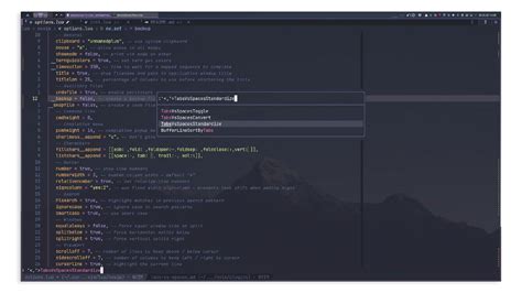 another week another tool plugin release tabs vs spaces nvim r neovim