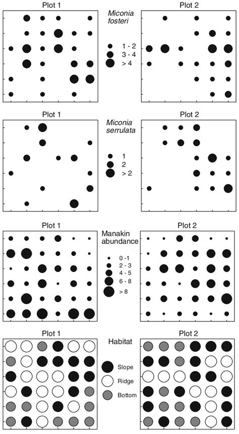 spatial distribution of miconia fosteri and m serrulata fruiting