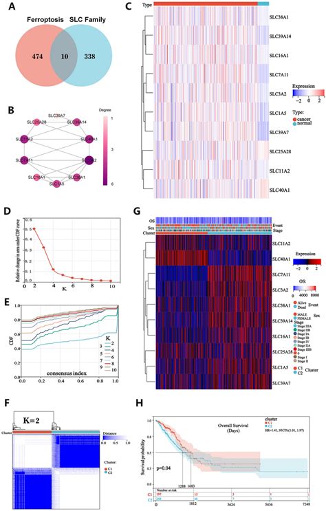 Consensus Clustering Identifies Lung Adenocarcinoma Subtypes Associated