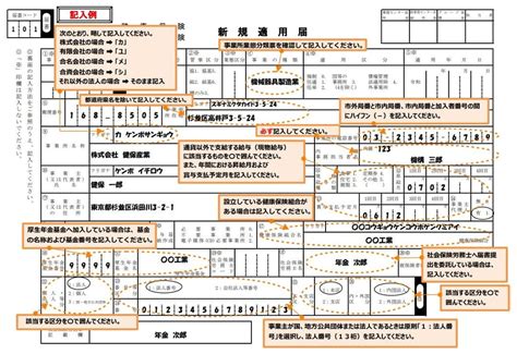 健康保険新規適用届後の手続きの流れ Genspark