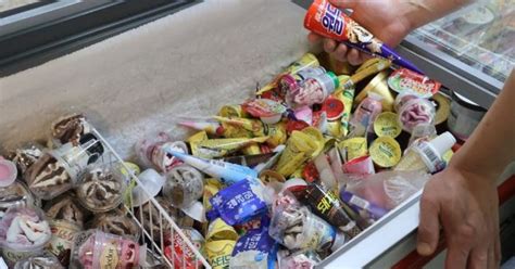 한여름 성에 낀 아이스크림 먹어도 괜찮을까 1일 1짤