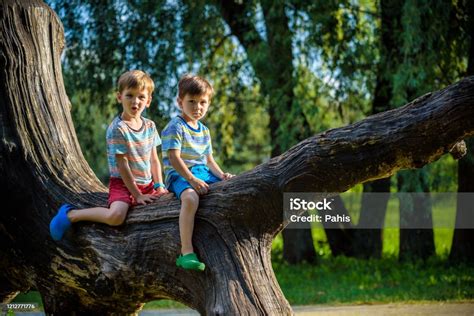 두 소년이 통나무에 앉아 있다 아이는 여름 공원이나 숲에서 산책 아이는 쓰러진 나무에 앉아있다 어린이를위한 야외 재미 2명에 대한 스톡 사진 및 기타 이미지 Istock