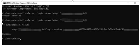 Server Setup Process Using Headscale With Docker Ltan Me