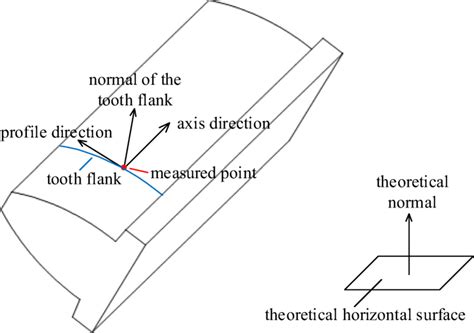 Theoretical Normal And Tooth Flank Download Scientific Diagram