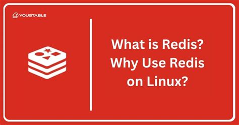 Redis Unter Linux Verstehen Was Sie Wissen Sollten Redis Unter Linux Verstehen Was Sie Wissen Sollten