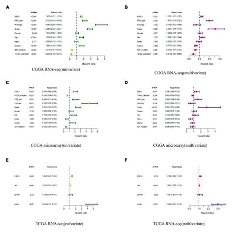 Univariate Analysis And Multivariate Analysis With Cox Regression