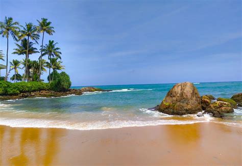 Why Dominica Is A Paradise For Nature Enthusiasts Travel Noire